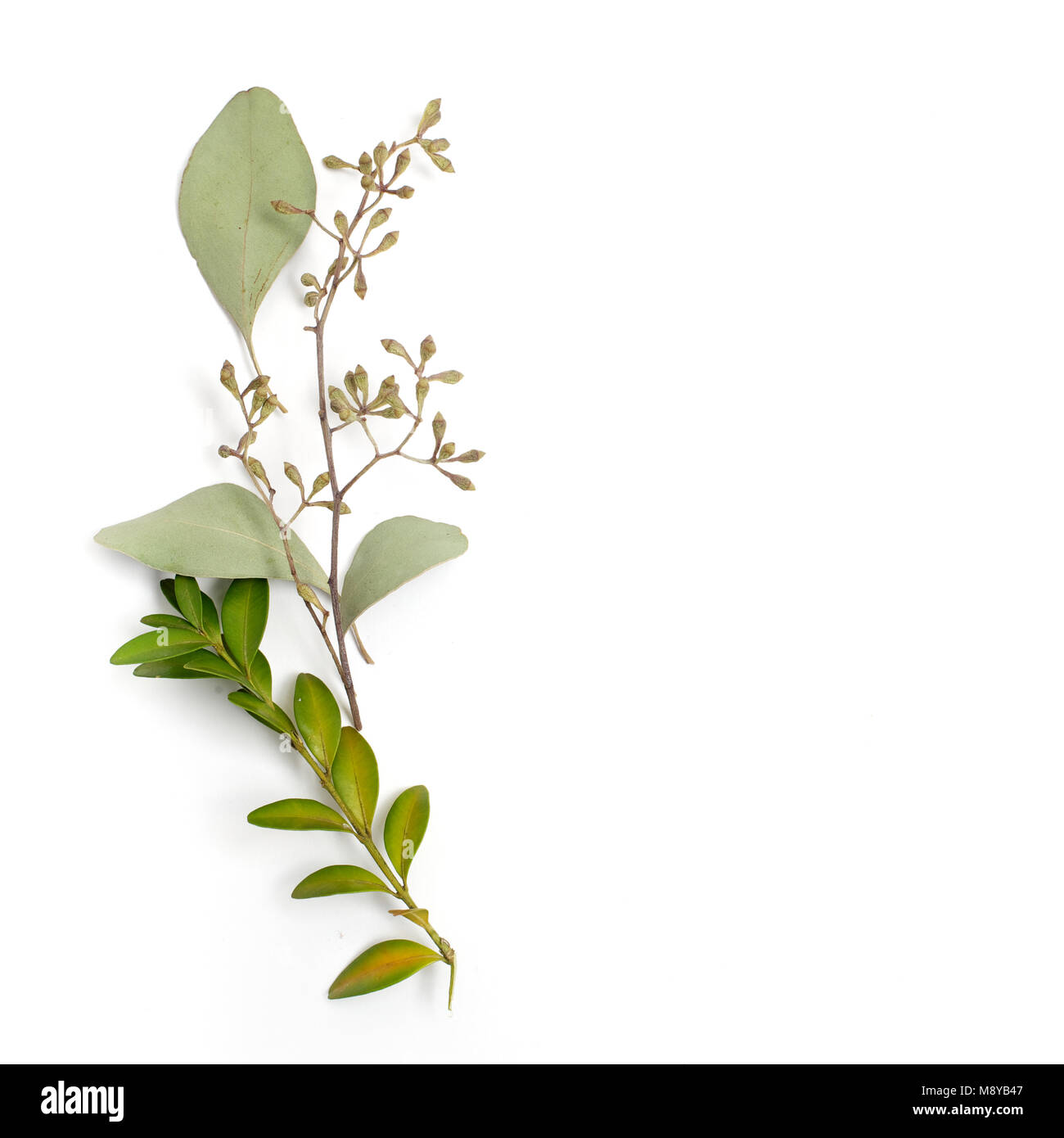 Creative pattern layout made Cut Out Stock Images & Pictures - Alamy