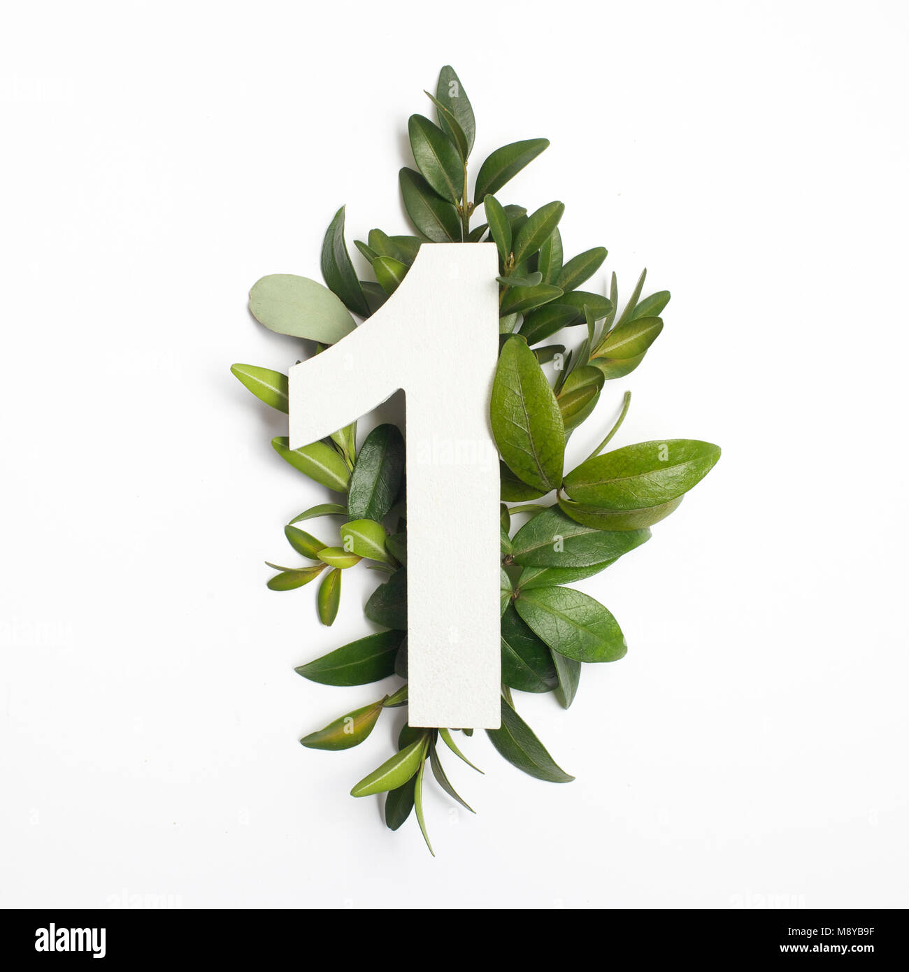 Number one shape with green leaves. Nature concept. Flat lay Stock ...