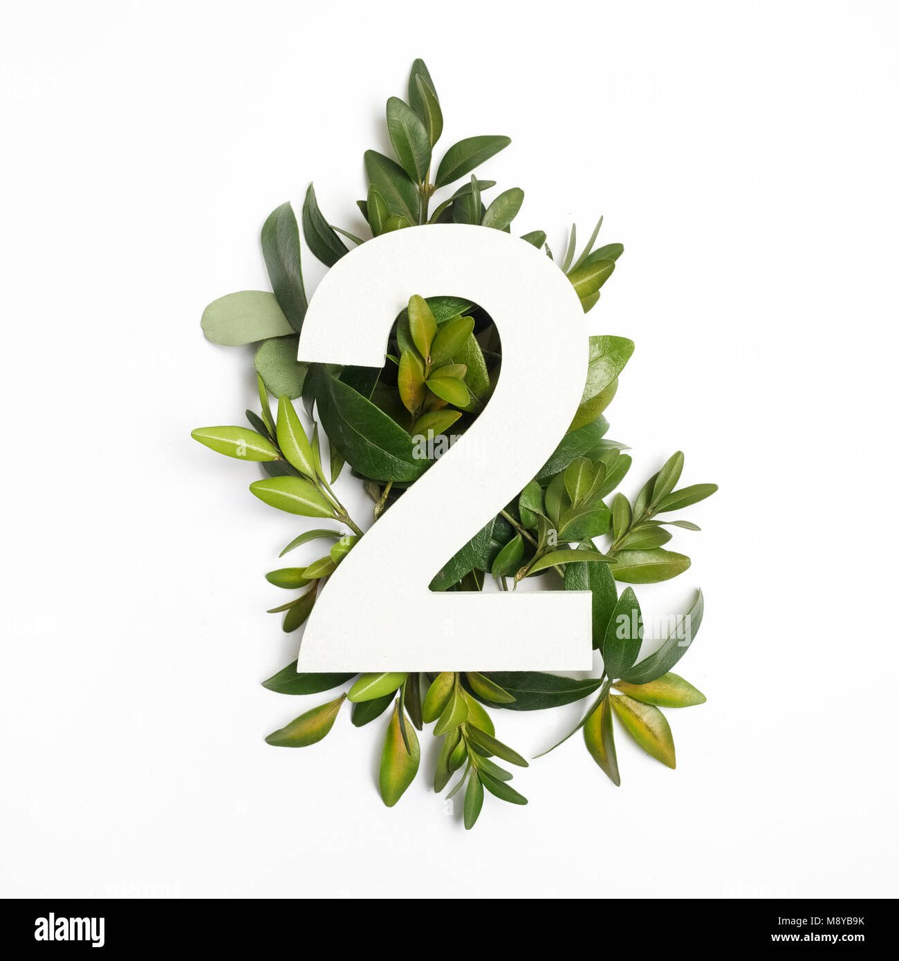 Number Two Shape With Green Leaves Nature Concept Flat Lay Stock