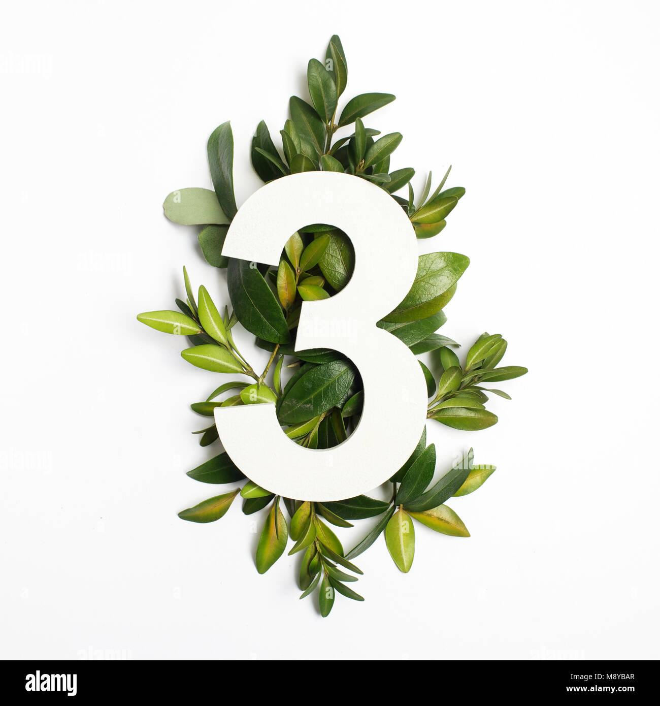 Number three shape with green leaves. Nature concept. Flat lay Stock ...