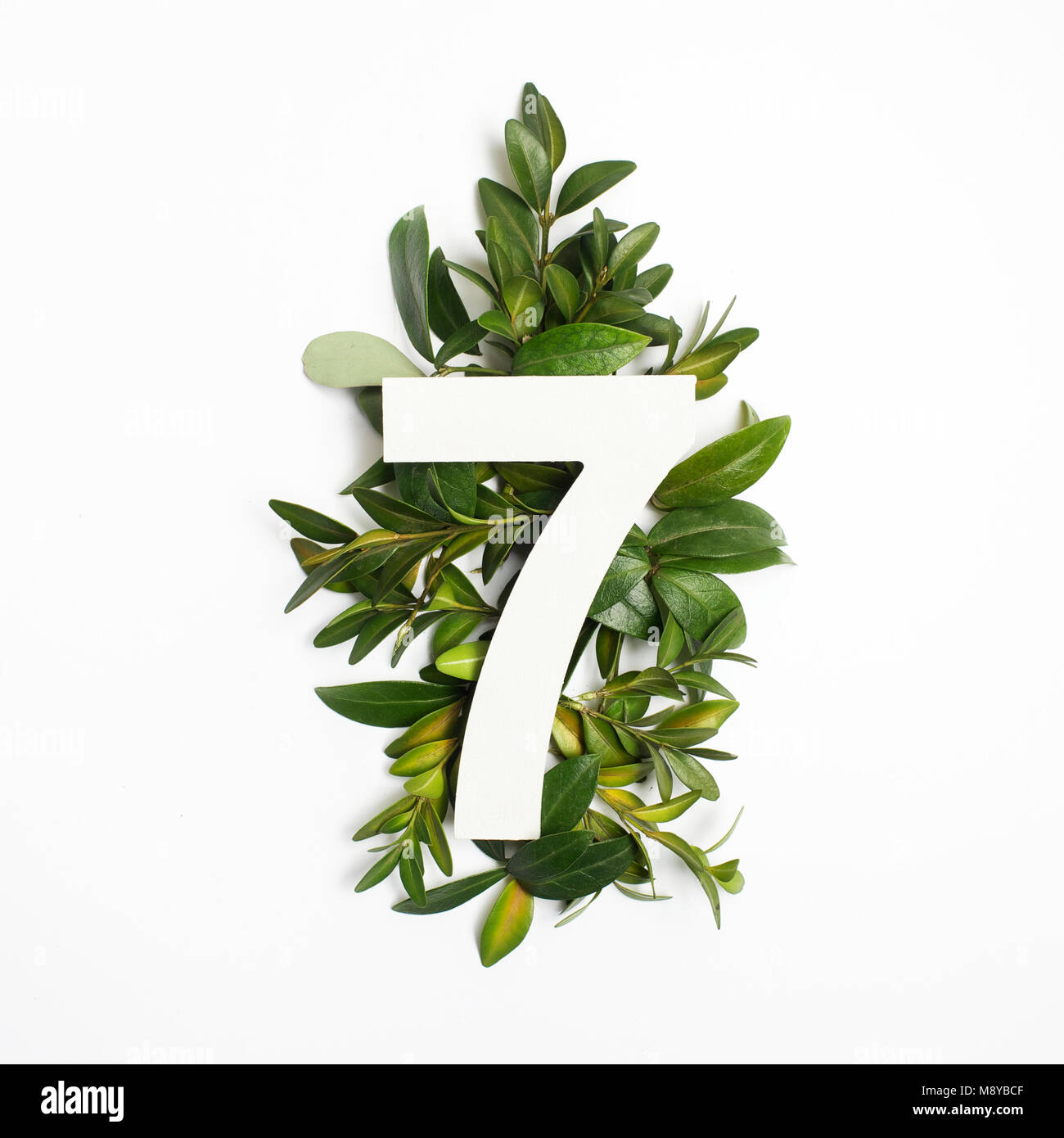 Number seven shape with green leaves. Nature concept. Flat lay Stock ...