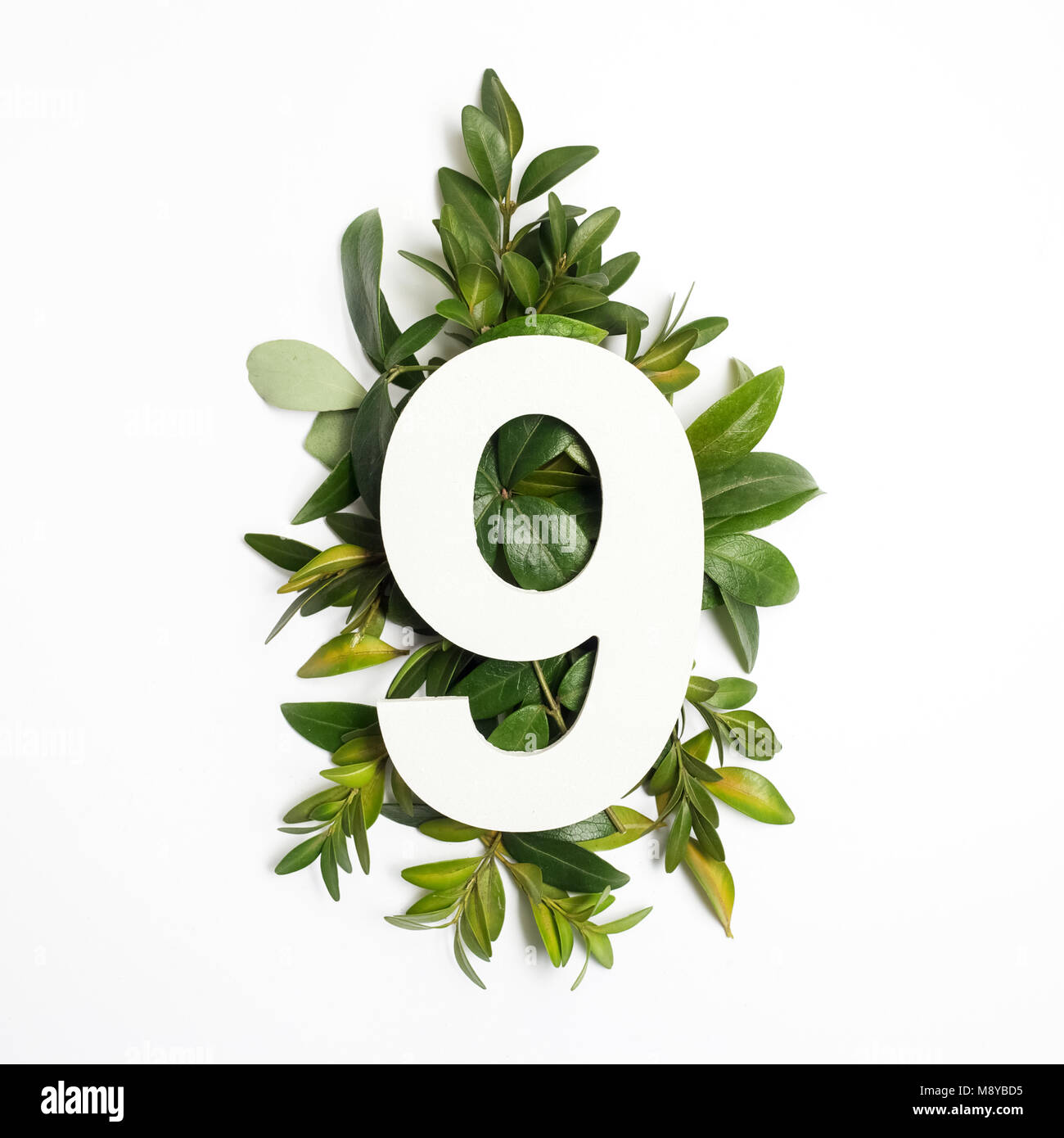Number nine shape with green leaves. Nature concept. Flat lay Stock ...