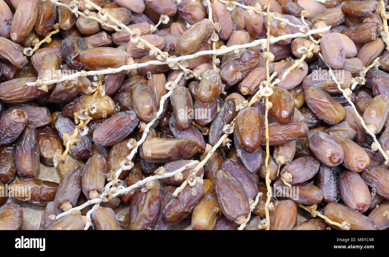 African palm fruit dried hi-res stock photography and images - Alamy