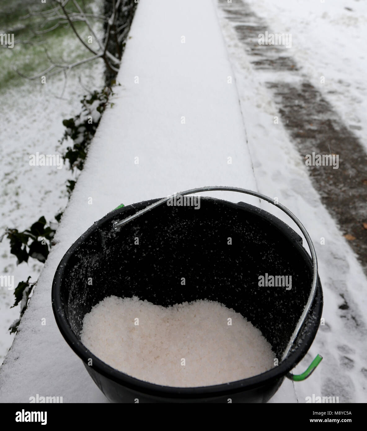 black bucket full of salt to melt ice from the sidewalk and on the ...