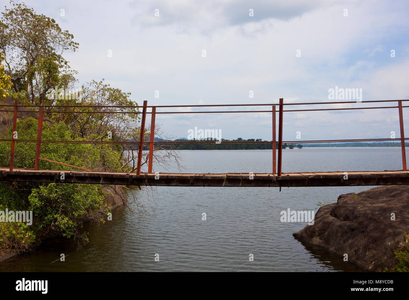 a rustic suspension bridge over a part of sorabora lake in central sri ...
