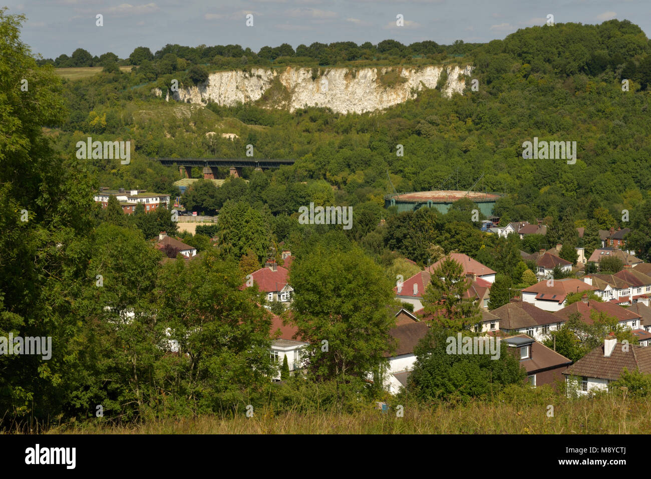 Riddlesdown Viaduct and Chalk Quarry from Kenley Common Stock Photo - Alamy