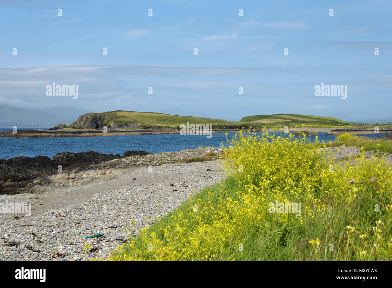 Reen hi-res stock photography and images - Alamy