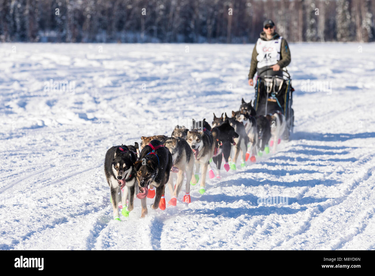 Musher Jeff Deeter after the restart in Willow of the 46th Iditarod ...
