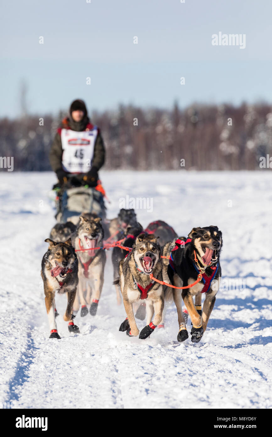 Musher Nicolas Petit after the restart in Willow of the 46th Iditarod ...