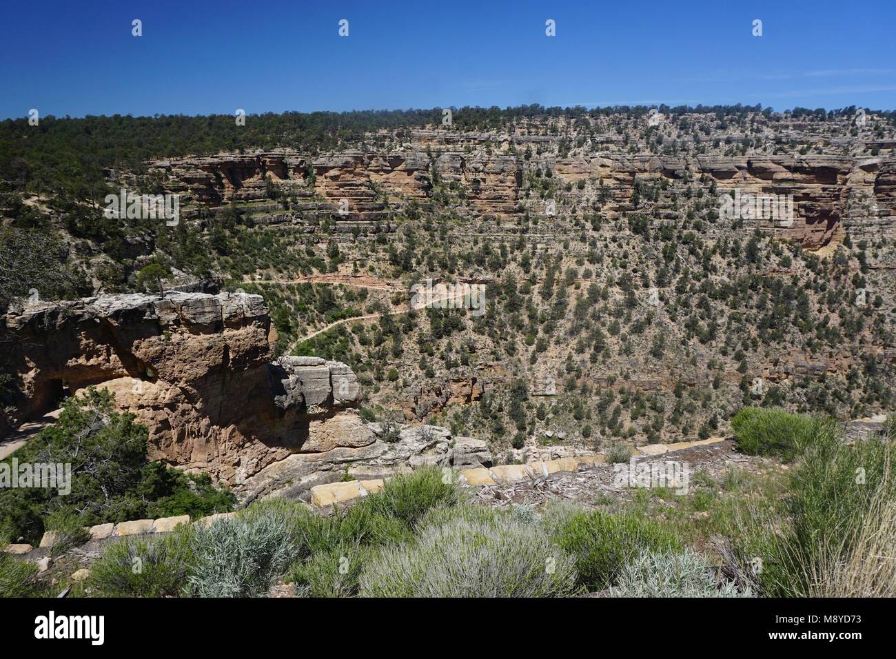 Grand Canyon National Park, AZ, USA: View of a switchback trail from ...
