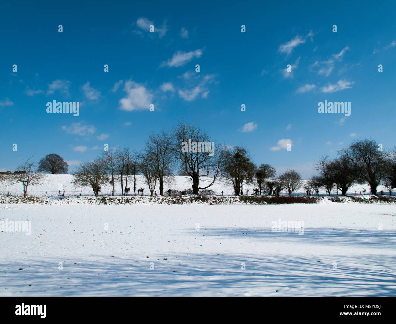 Wintry rural snow scene in mid march on farmland set against a blue sky ...