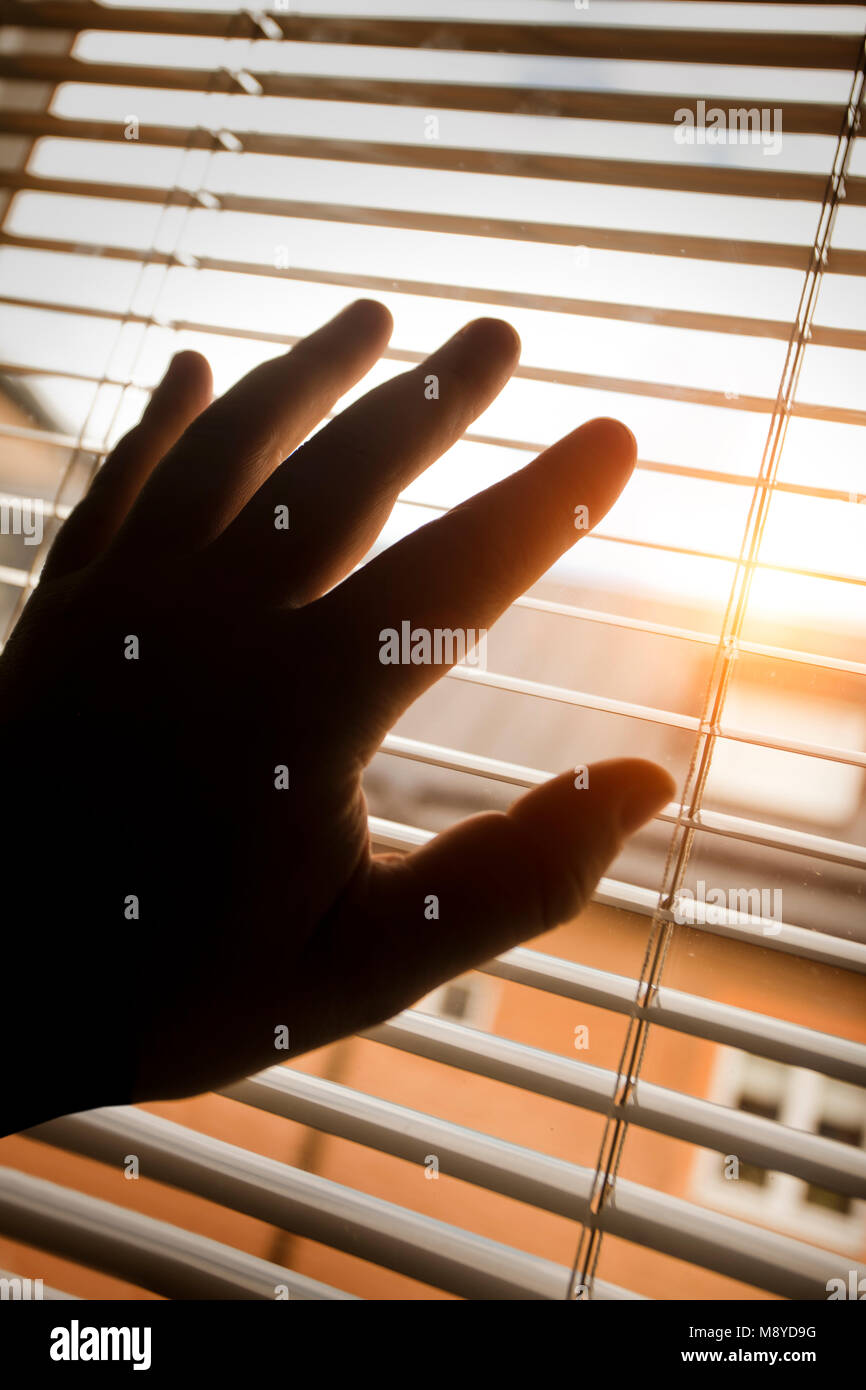 Hand opening window blinds Stock Photo - Alamy
