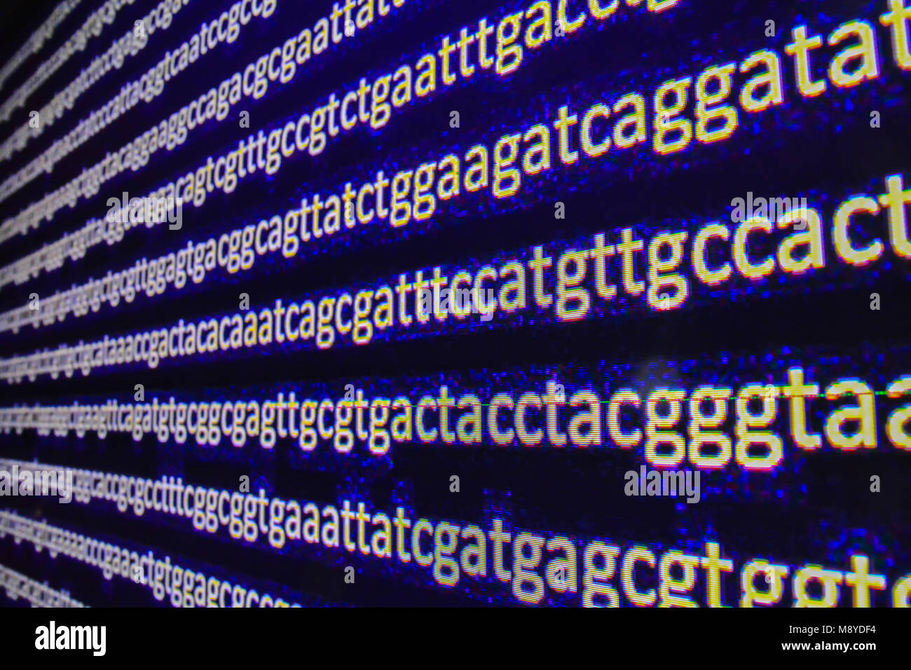 Genome sequencing. The deciphering of the DNA code, write the sequence ...