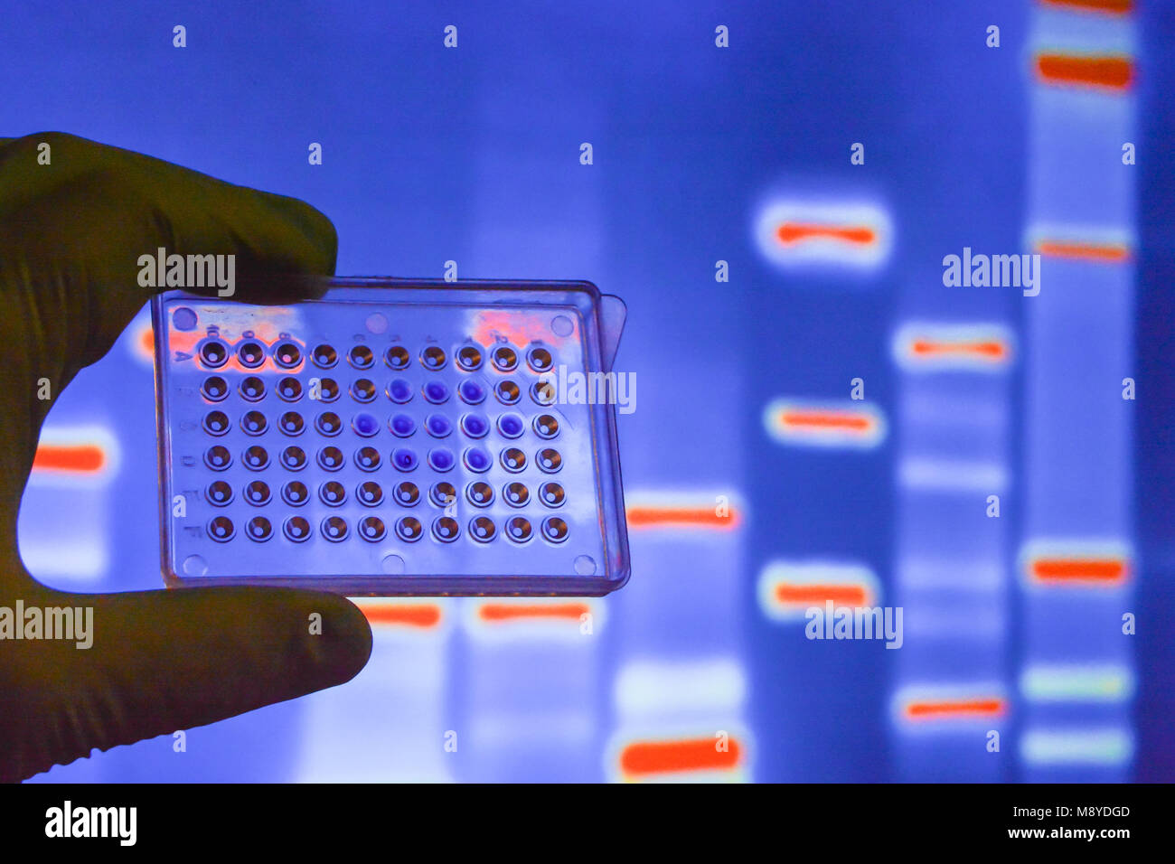 Dna fingerprint samples hi-res stock photography and images - Alamy
