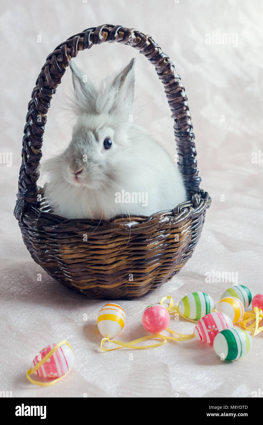 Fluffy foxy rabbit in basket with Easter eggs Stock Photo - Alamy