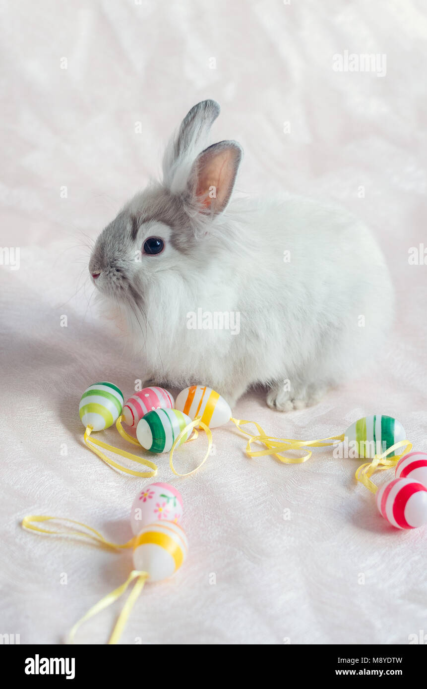 Fluffy foxy rabbit with Easter eggs on light pink background Stock ...