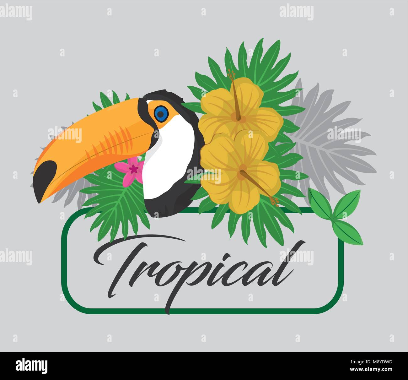 Tropic leaves flowers and toucan design Stock Vector Image & Art - Alamy