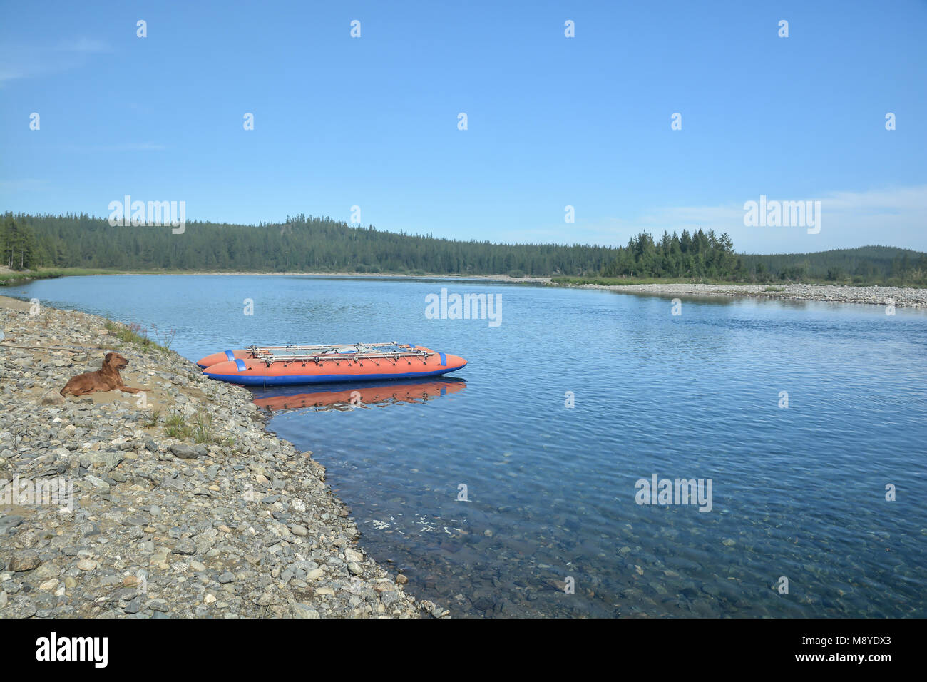 Red catamaran travelers on the northern river. Rafting along the rivers ...