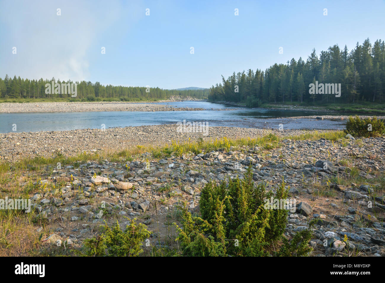 Northern taiga river in the summer. Water landscape of the eastern ...
