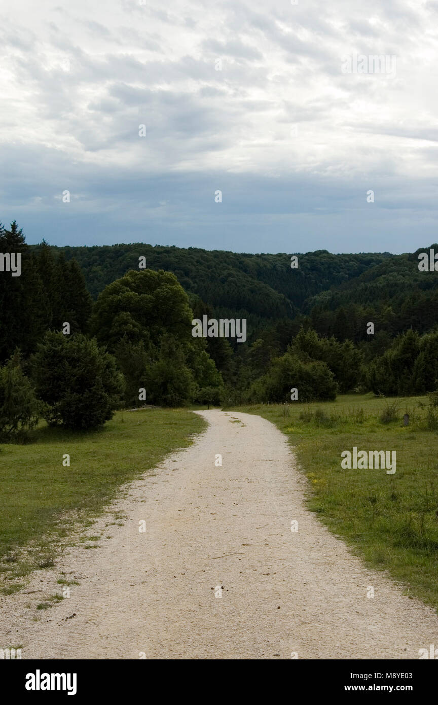 gravel path to wooded valley Stock Photo - Alamy