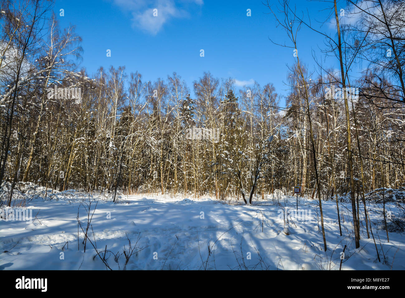 White trip hi-res stock photography and images - Alamy