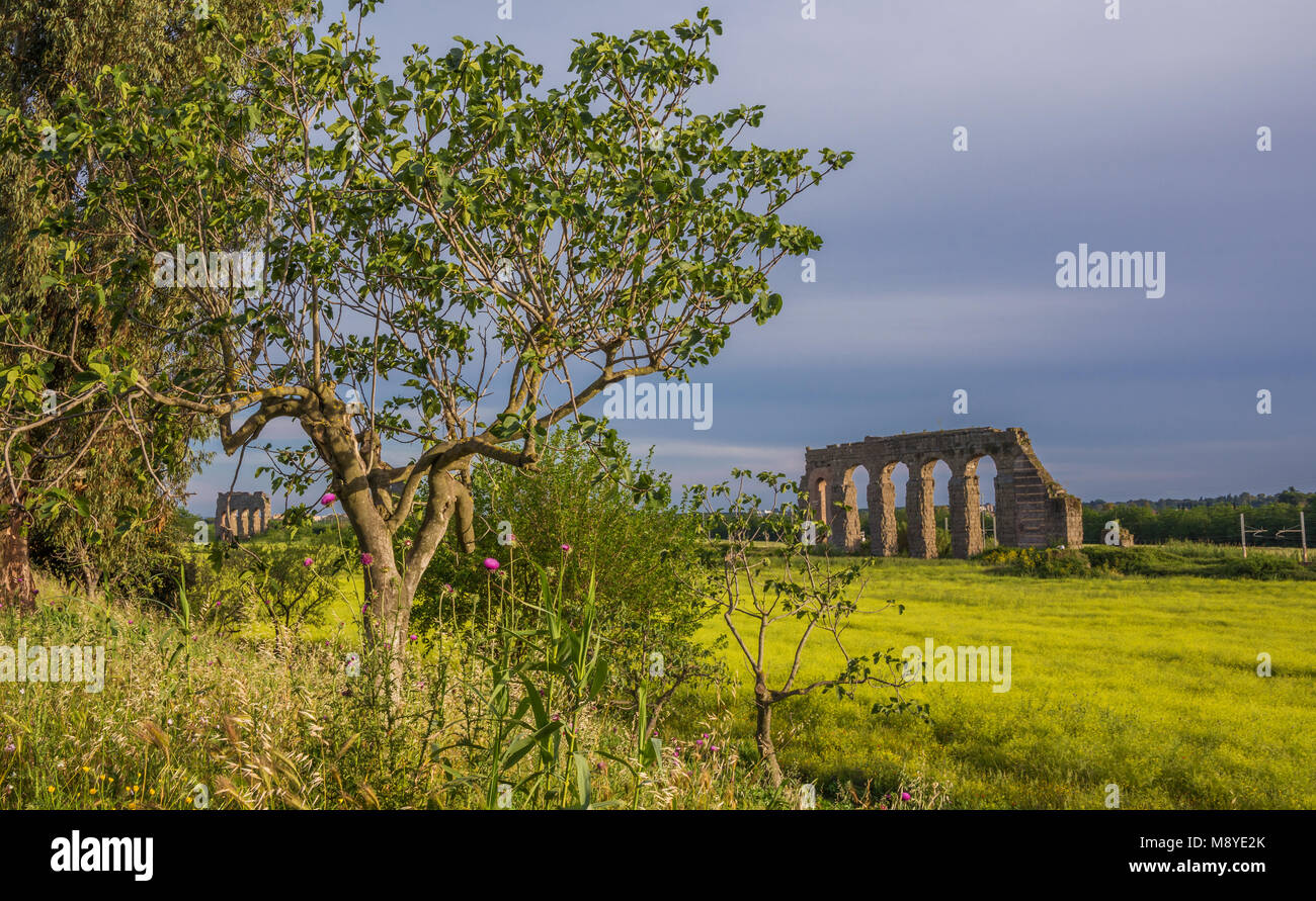 View of ancient roman aqueduct ruins during spring season in Rome ...