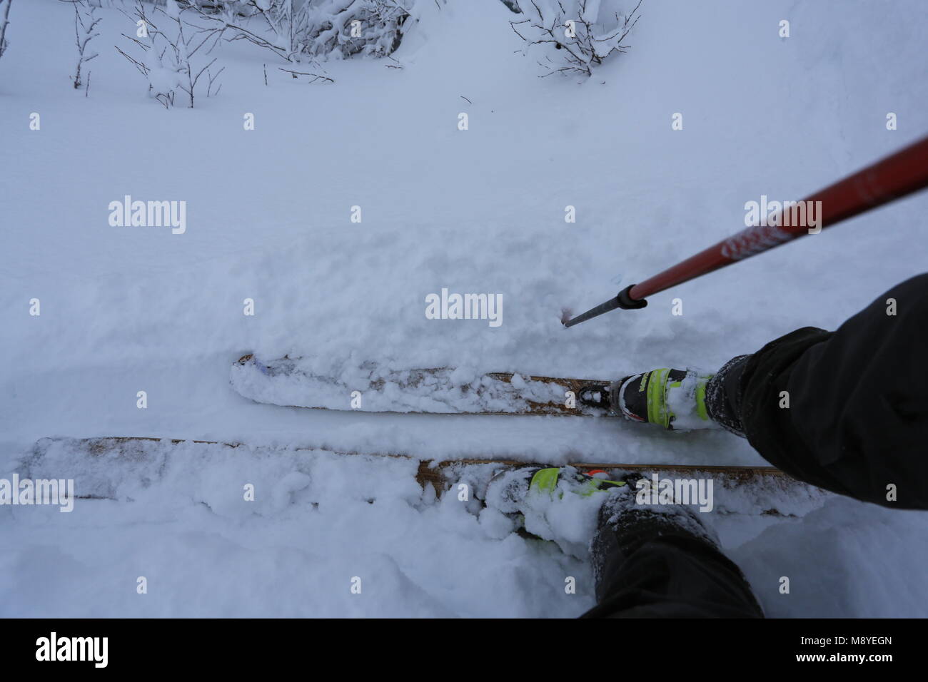 Telemark skis hi-res stock photography and images - Alamy