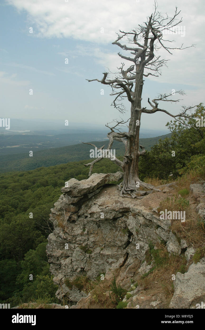 Mount magazine state park hi-res stock photography and images - Alamy