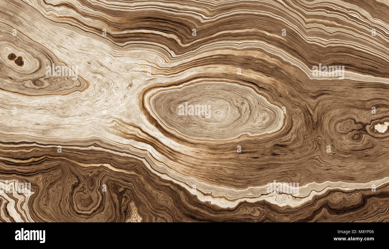 Texture of roots of tree with wavy lines and age rings. Abstract ...