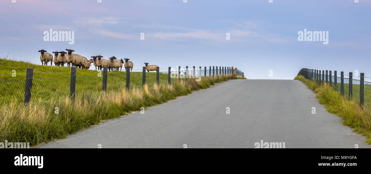 Dutch dikes hi-res stock photography and images - Alamy