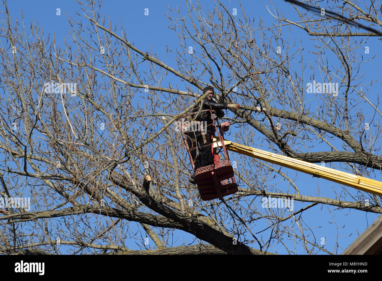 Trimming tree lift arm hi-res stock photography and images - Alamy