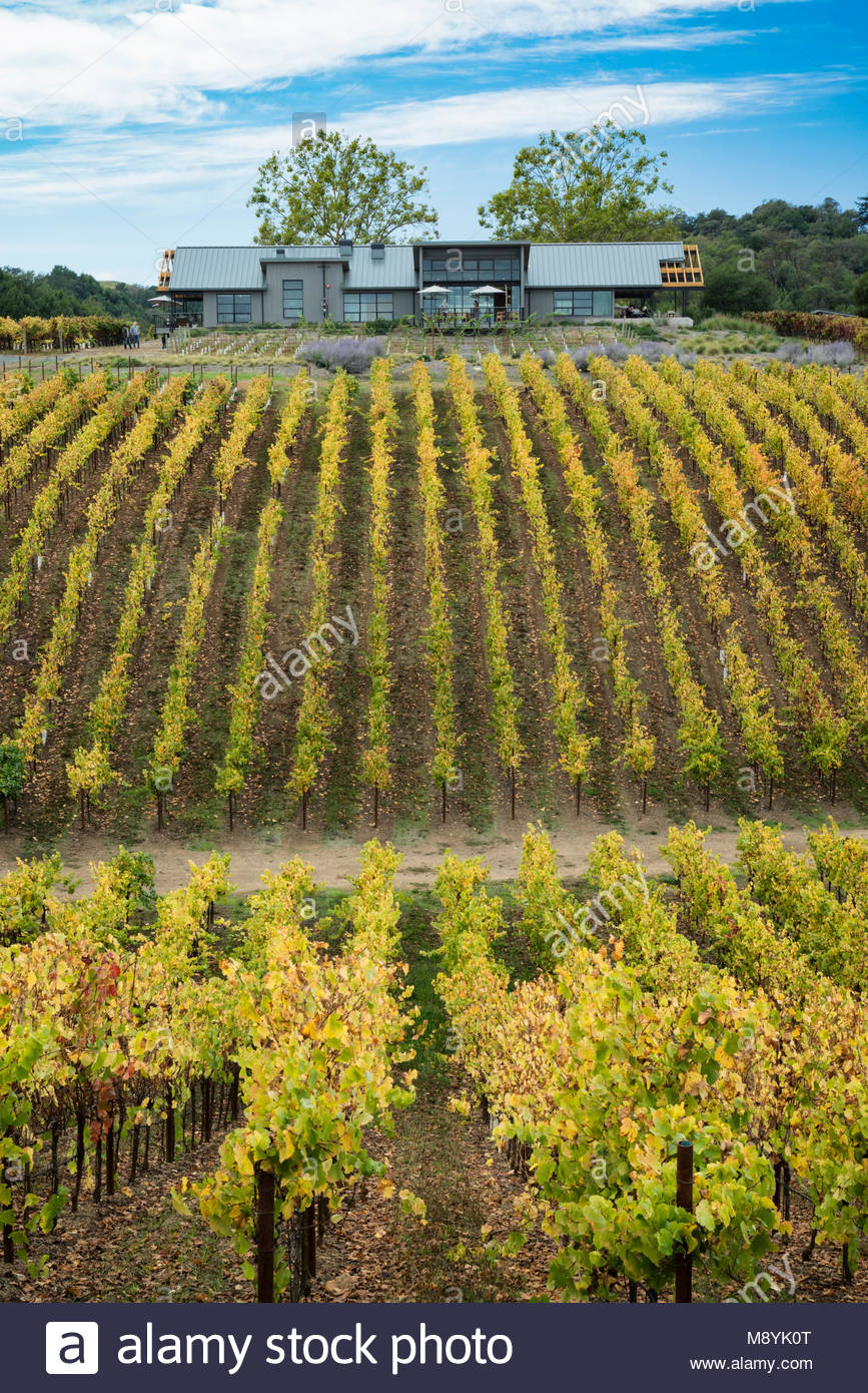 Sonoma County California Vineyards High Resolution Stock Photography ...