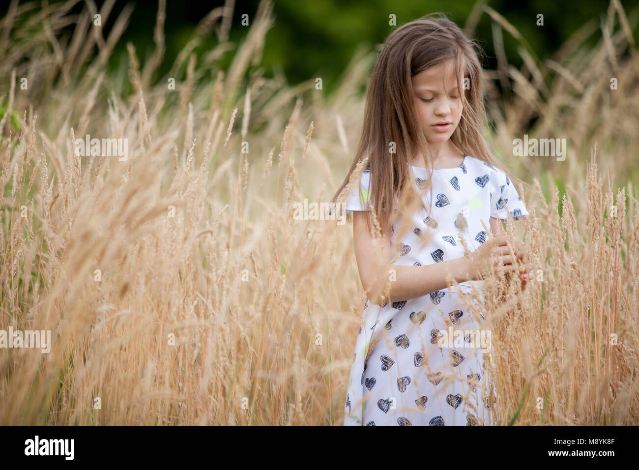 Girl having fun in the field Stock Photo - Alamy