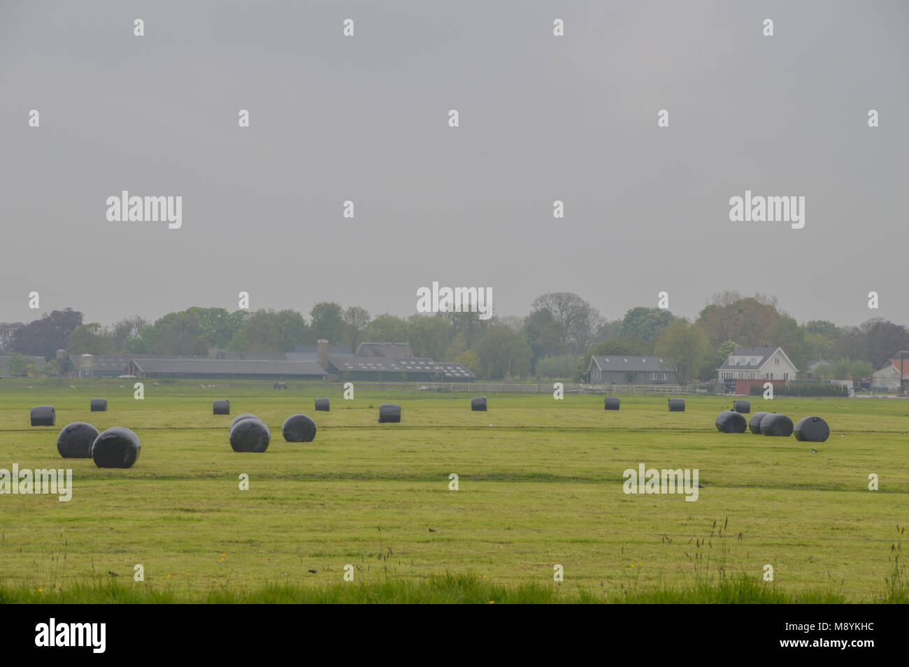 Farm haystack holland hi-res stock photography and images - Alamy