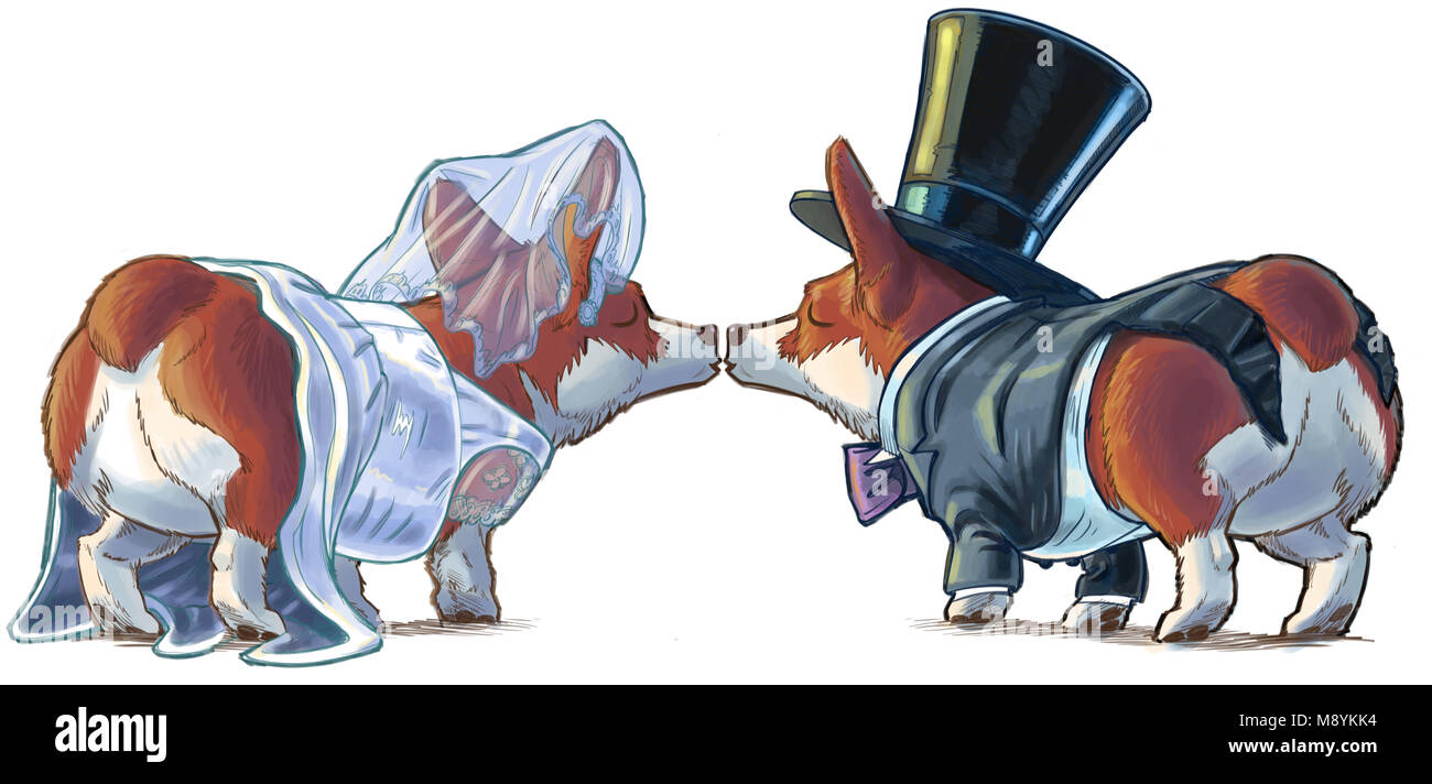 Corgi Bride And Groom