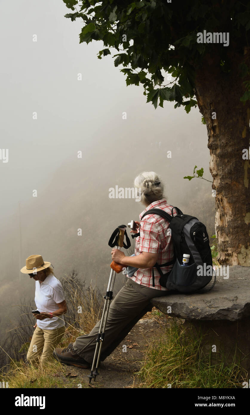 Group people sitting under tree hi-res stock photography and images - Alamy