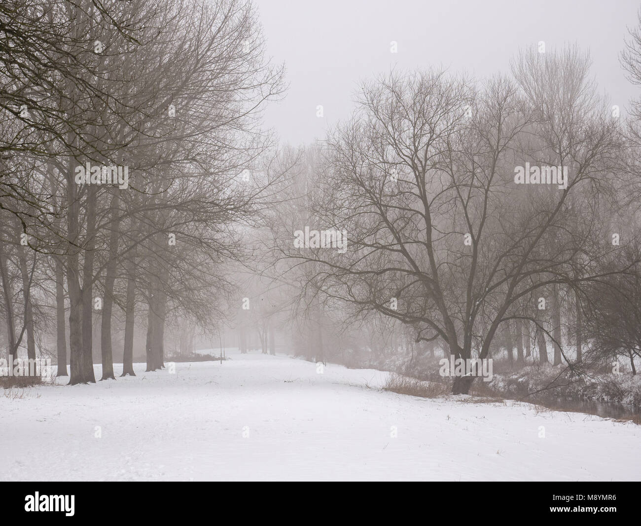 A snowy countryside scene with trees along a riverbank Stock Photo - Alamy