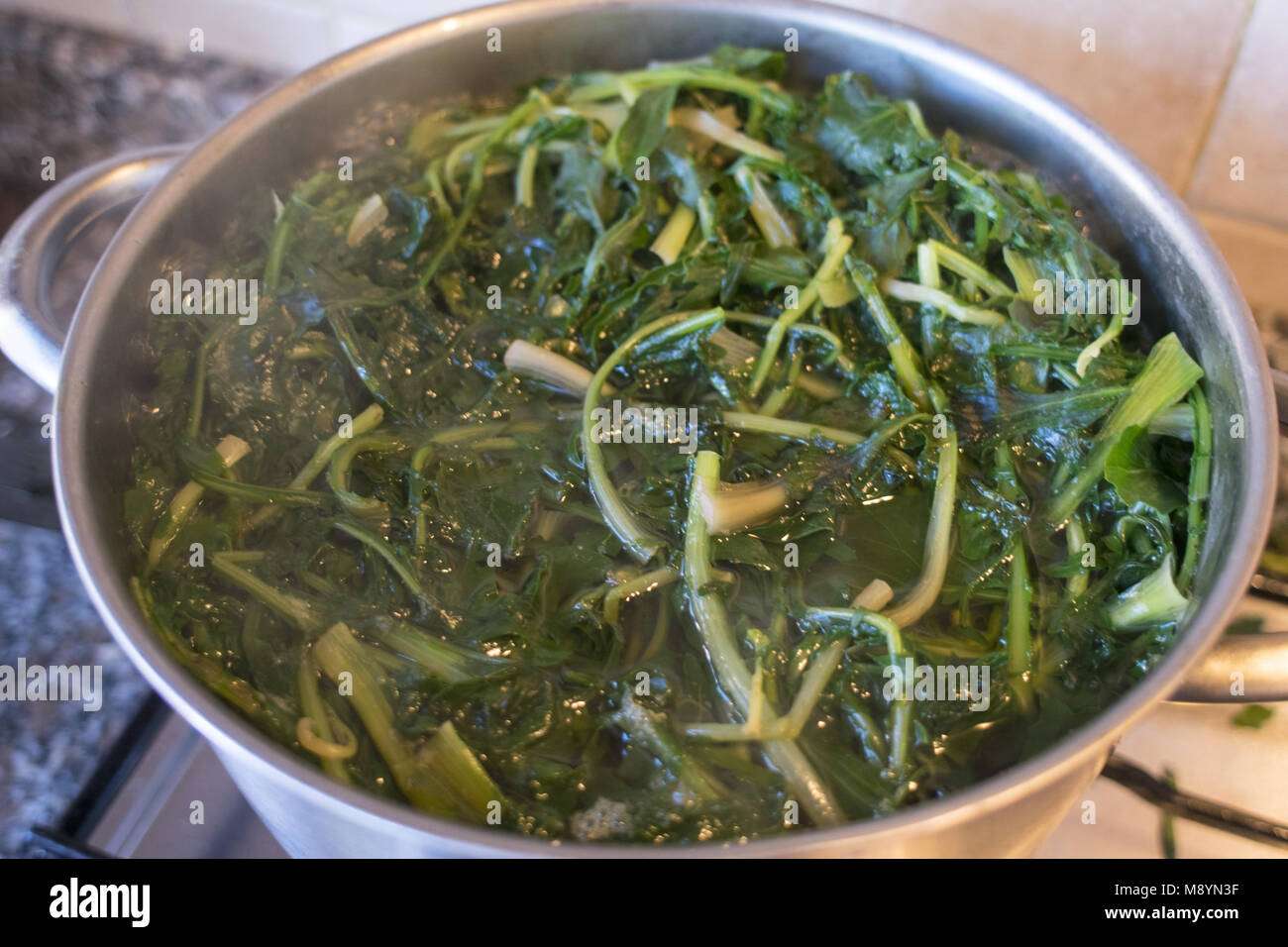 preparing fresh chicory in pot with boiling water Stock Photo - Alamy
