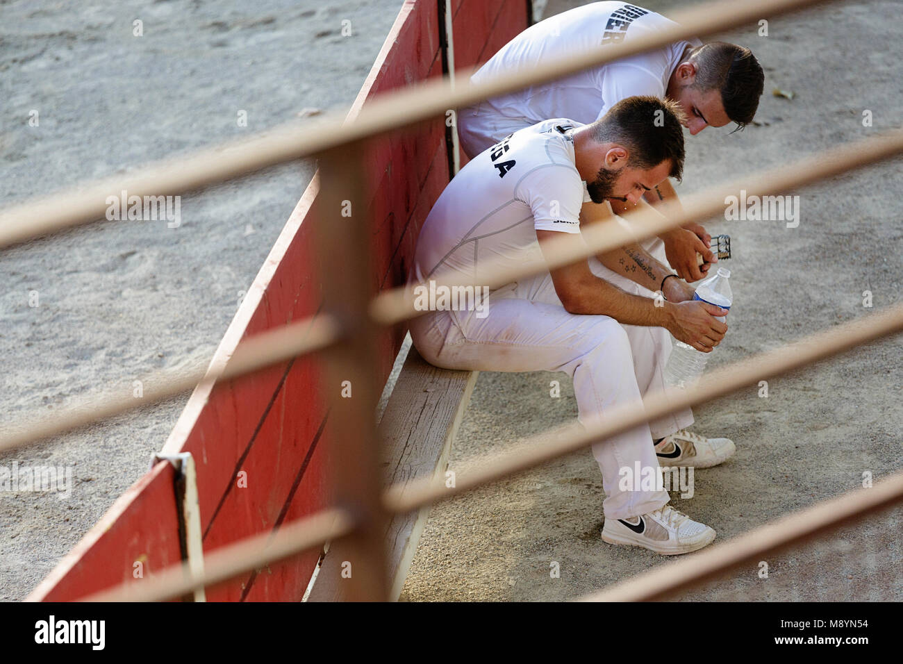 Grab bull by the horns hi-res stock photography and images - Alamy
