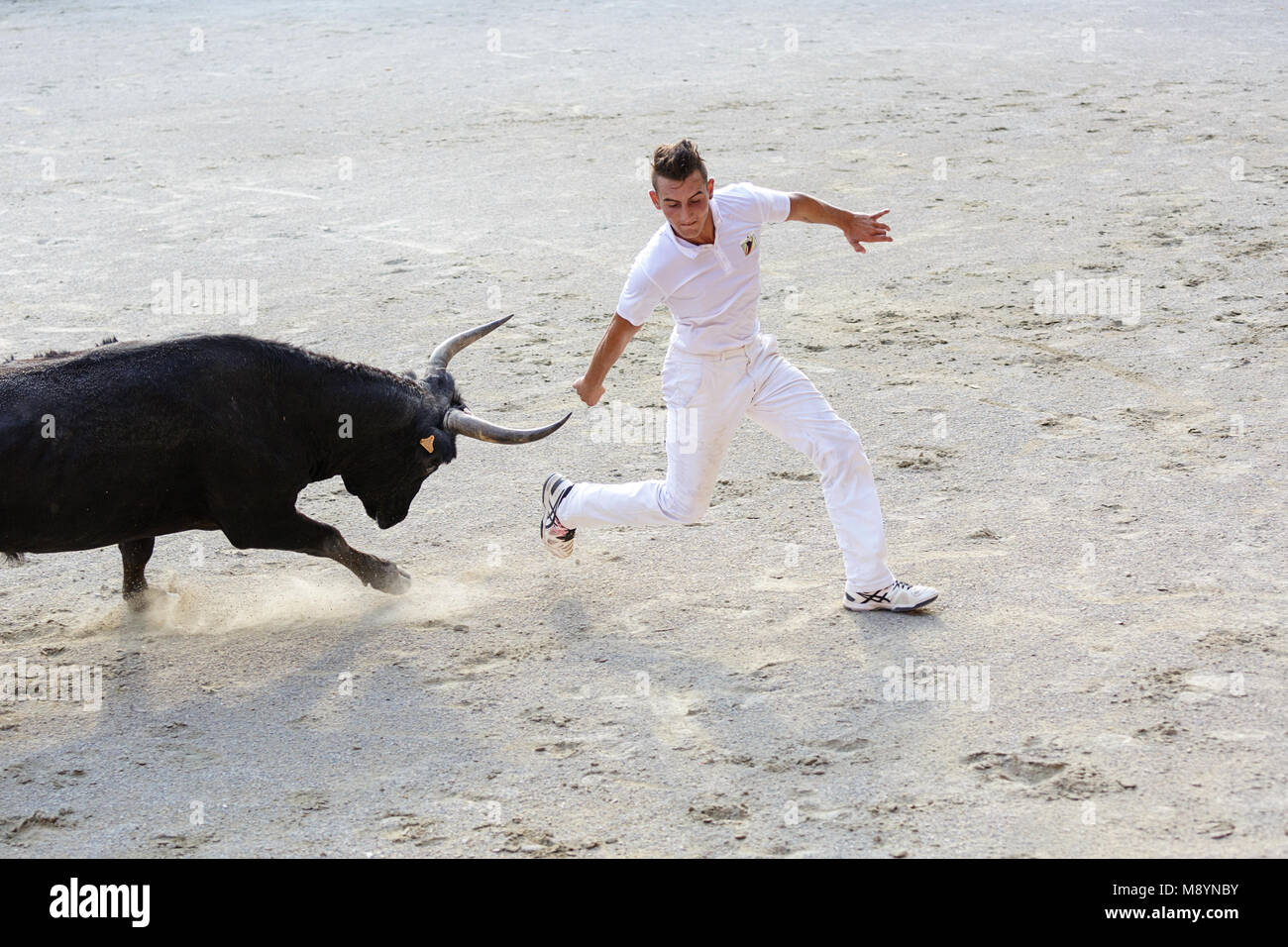 Grab bull by the horns hi-res stock photography and images - Alamy