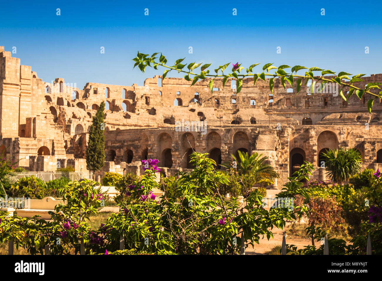 Tunisia. El Jem (ancient Thysdrus). Ruins of the largest colosseum in ...