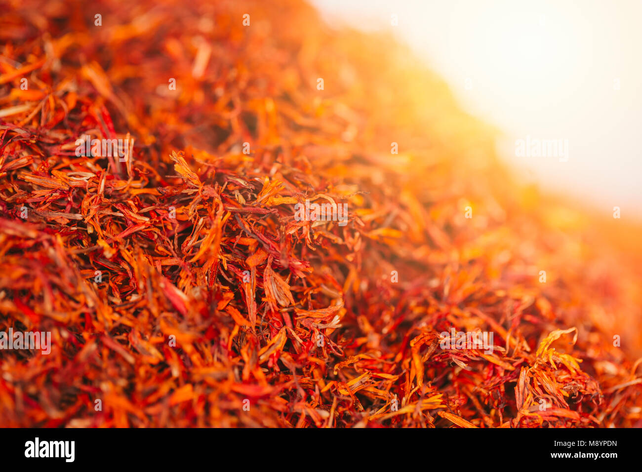Safflower flower hi-res stock photography and images - Alamy