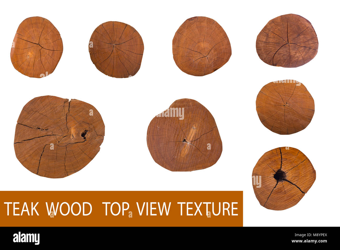 Teak Wood or Wooden log top view isolated on white Stock Photo - Alamy
