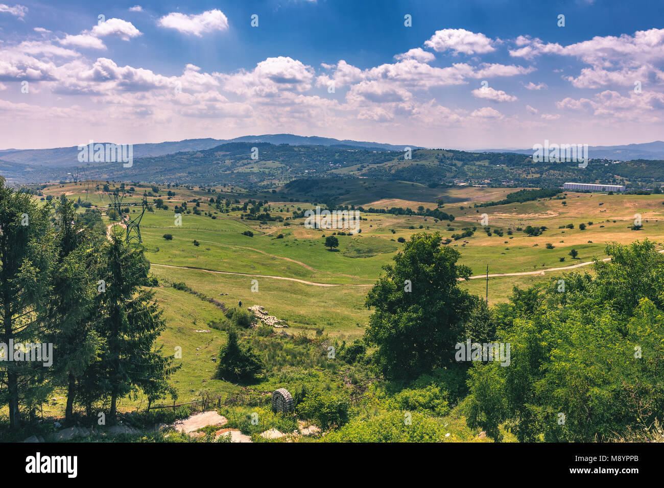 Summer alpine Transylvania landmark, landscape with green fields and ...