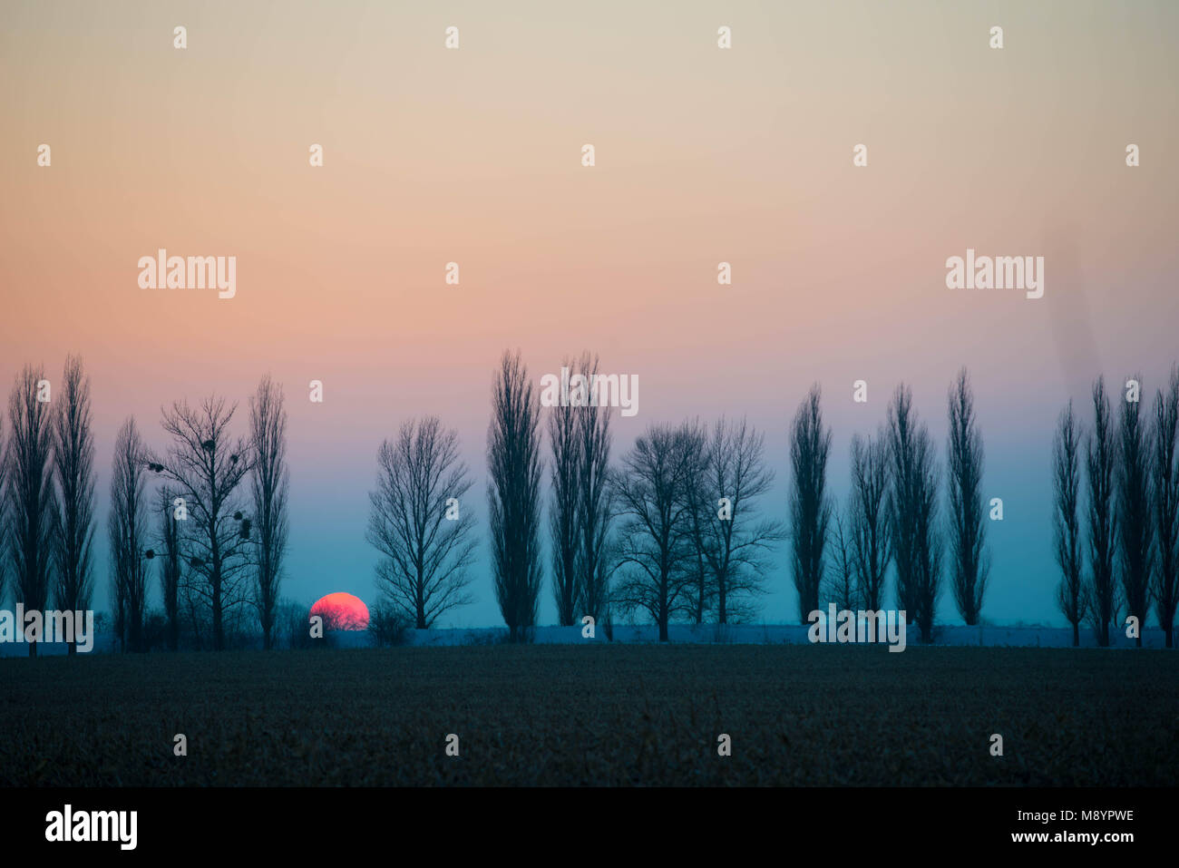 Sunset on field hi-res stock photography and images - Alamy