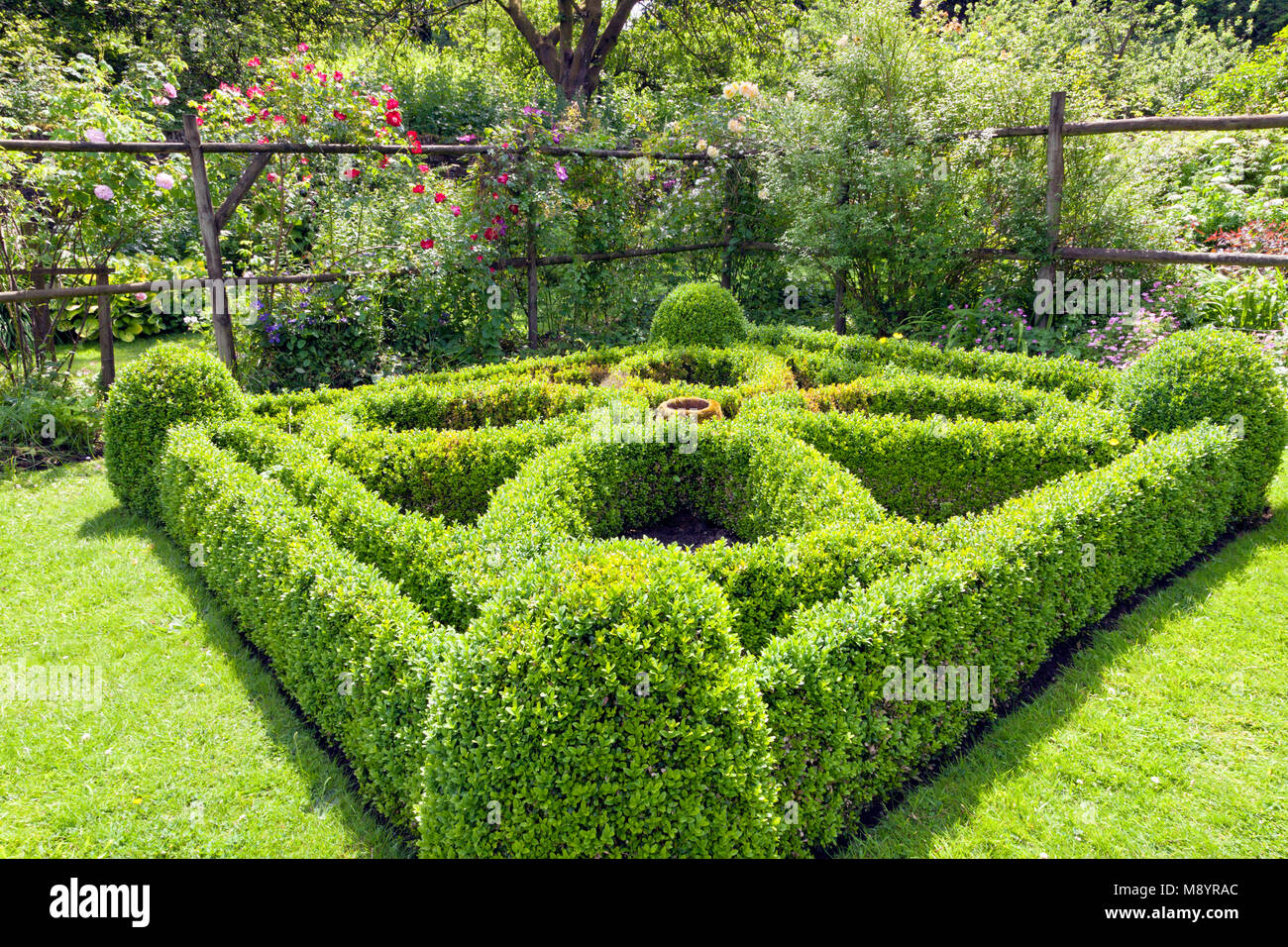 Evergreen boxus topiary square and ball shape ornamental design in an ...