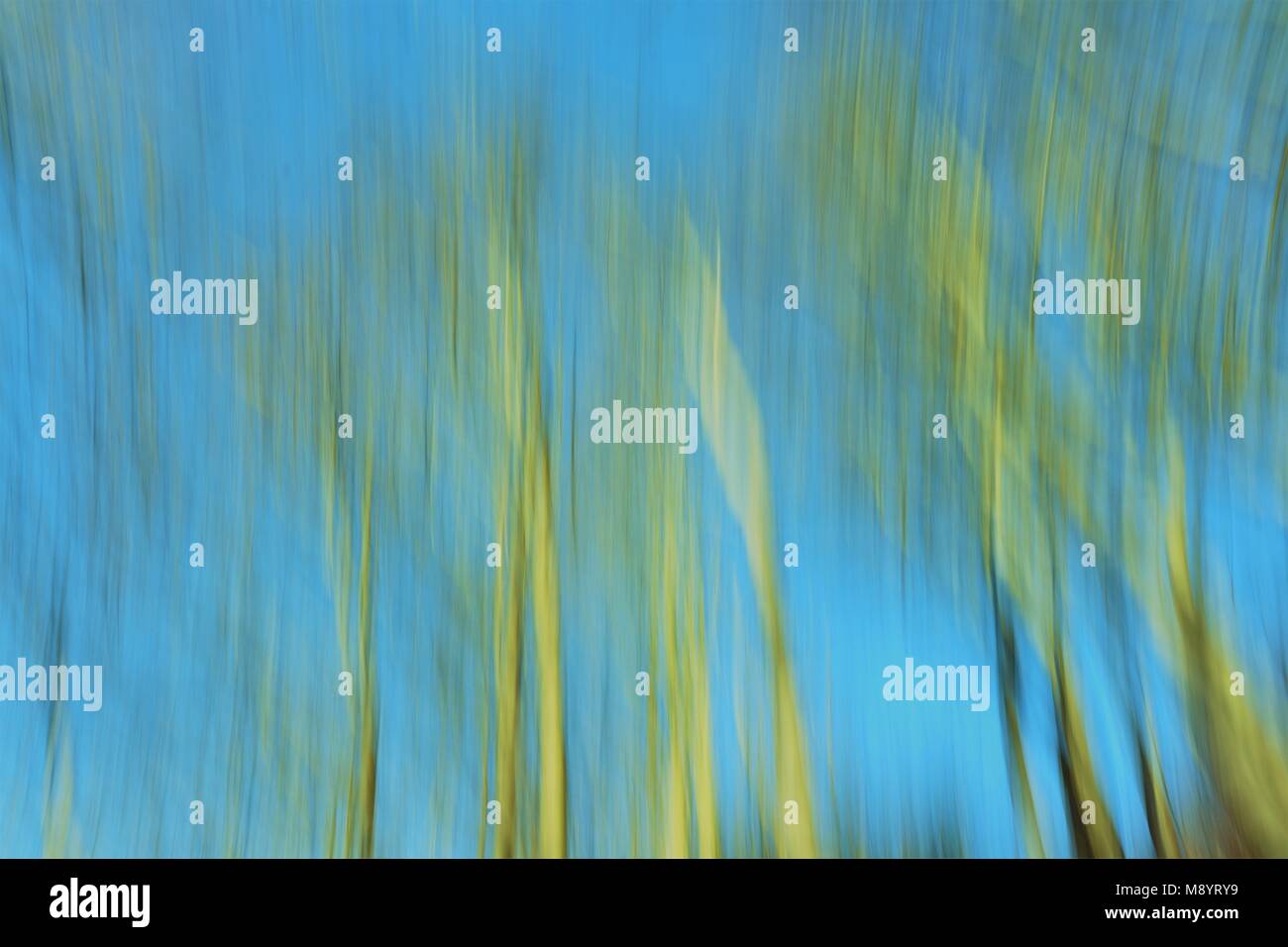 Abstract backgrounds, digital design, artistic Stock Photo - Alamy