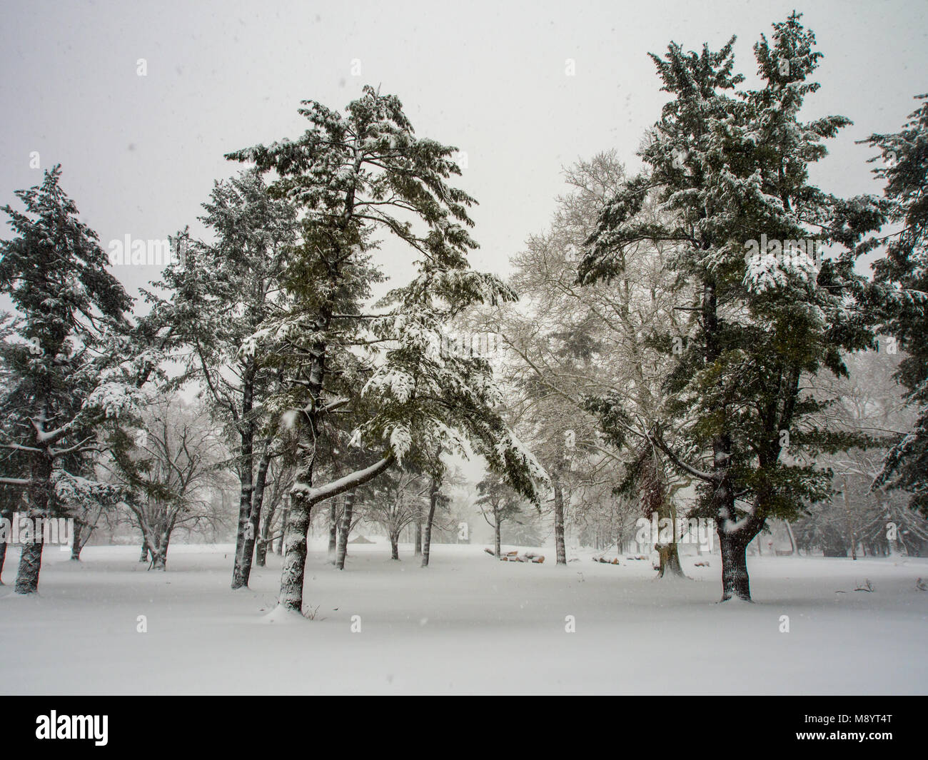 Falling Snowing High Resolution Stock Photography and Images - Alamy