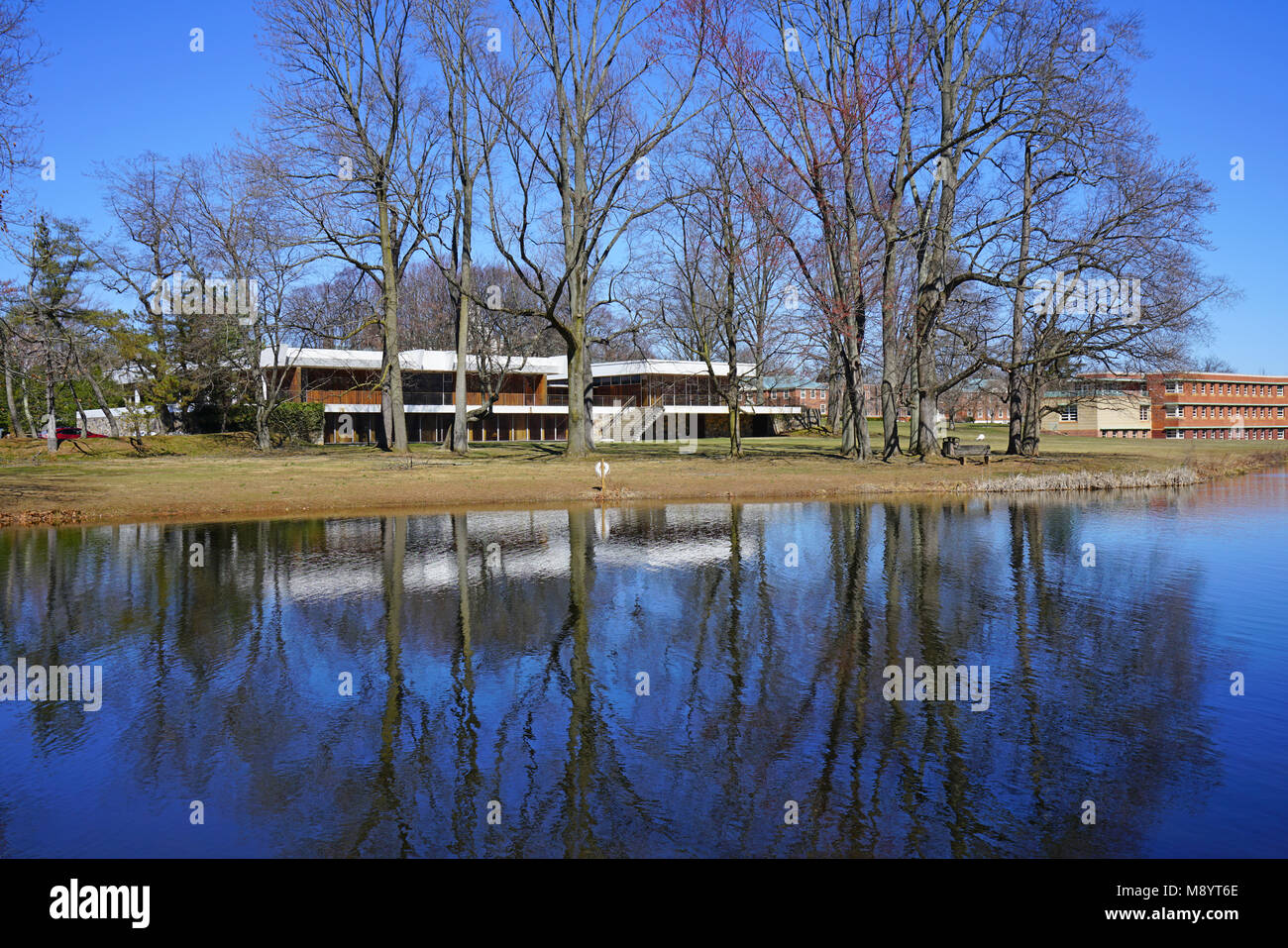 Founded in 1930 by Abraham Flexner, the postdoctoral research center ...