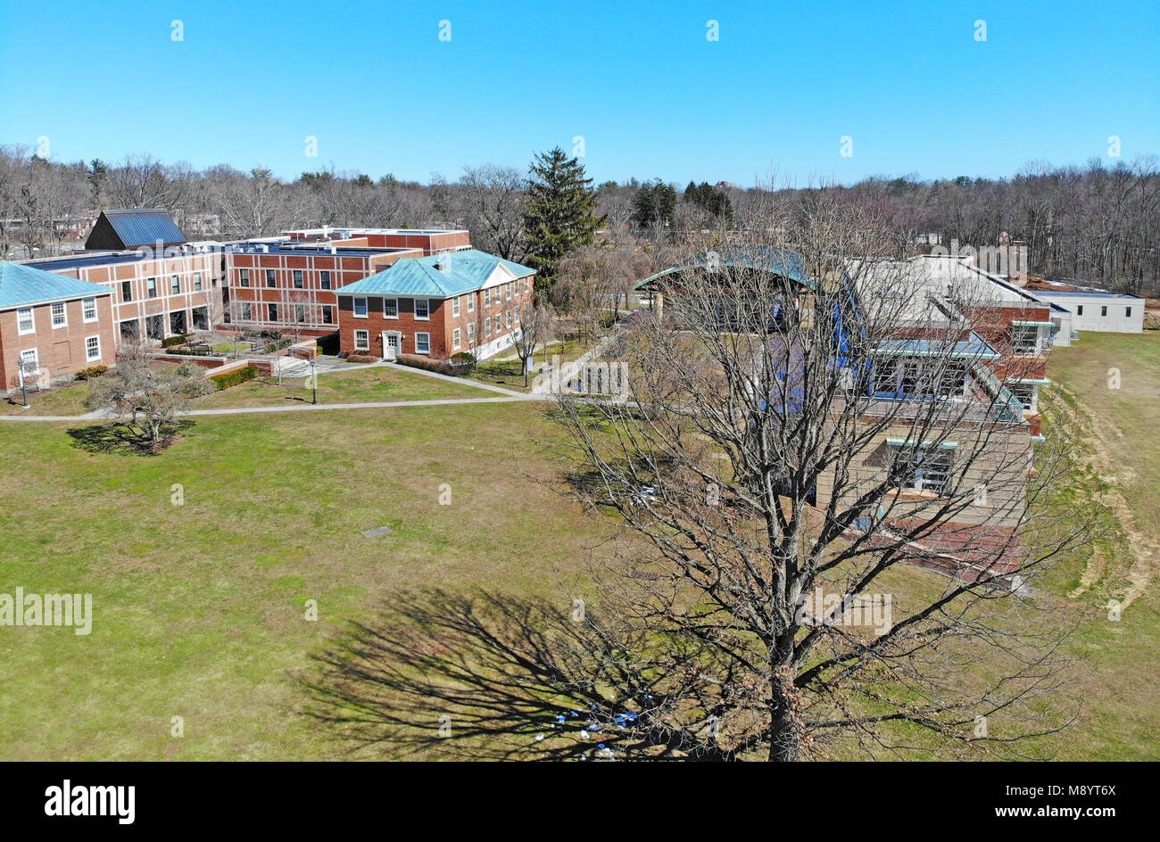 Founded in 1930 by Abraham Flexner, the postdoctoral research center ...